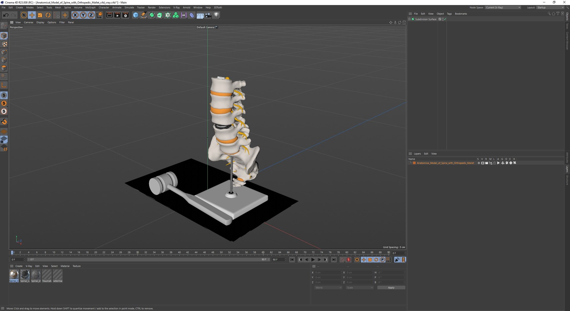 Anatomical Model Of Spine With Orthopedic Mallet Model - TurboSquid 2390087