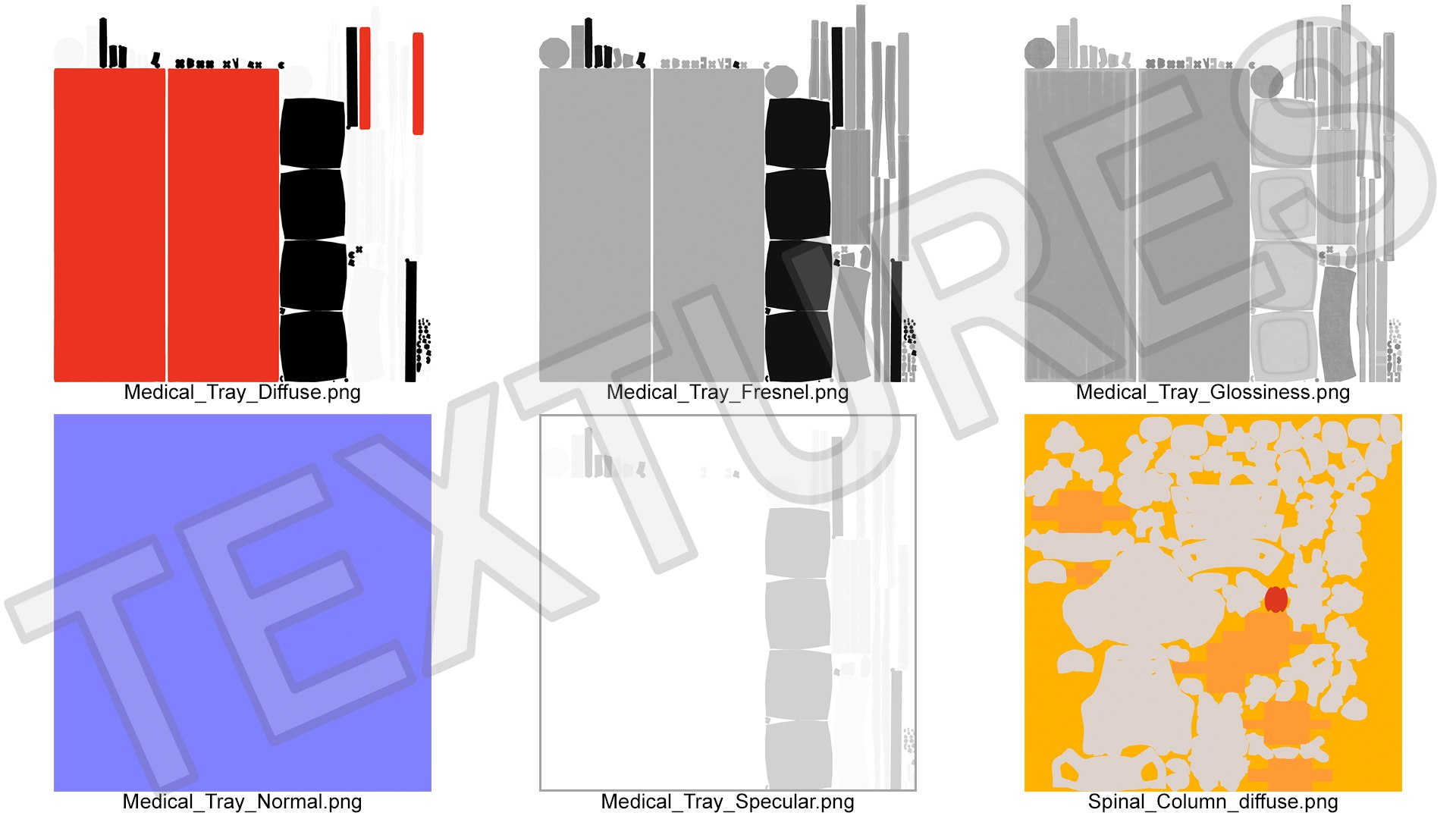 Anatomical Model Of Spine With Orthopedic Mallet Model - TurboSquid 2390087