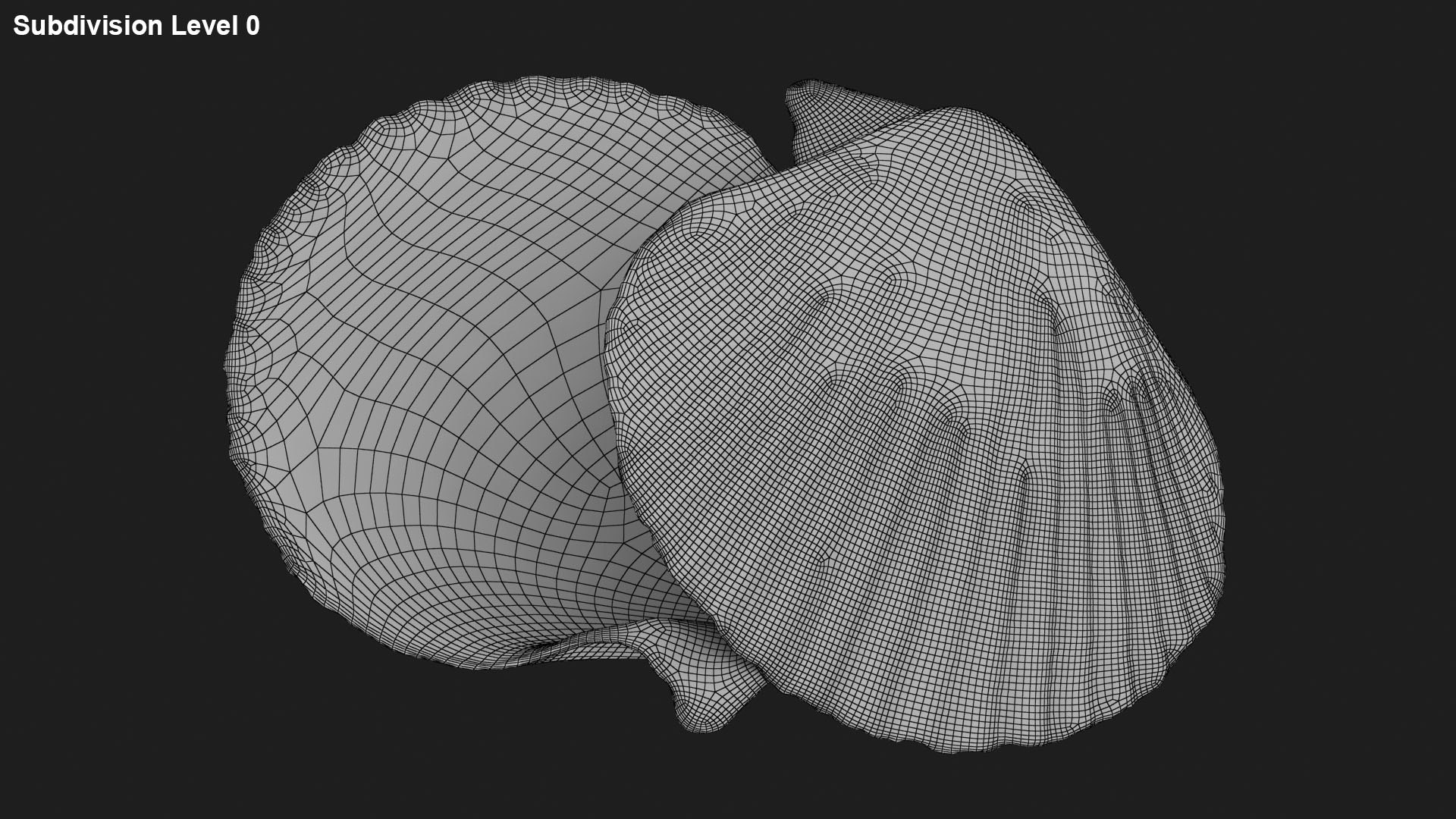 Argopecten Circularis Pose 2 3D model - TurboSquid 2137708