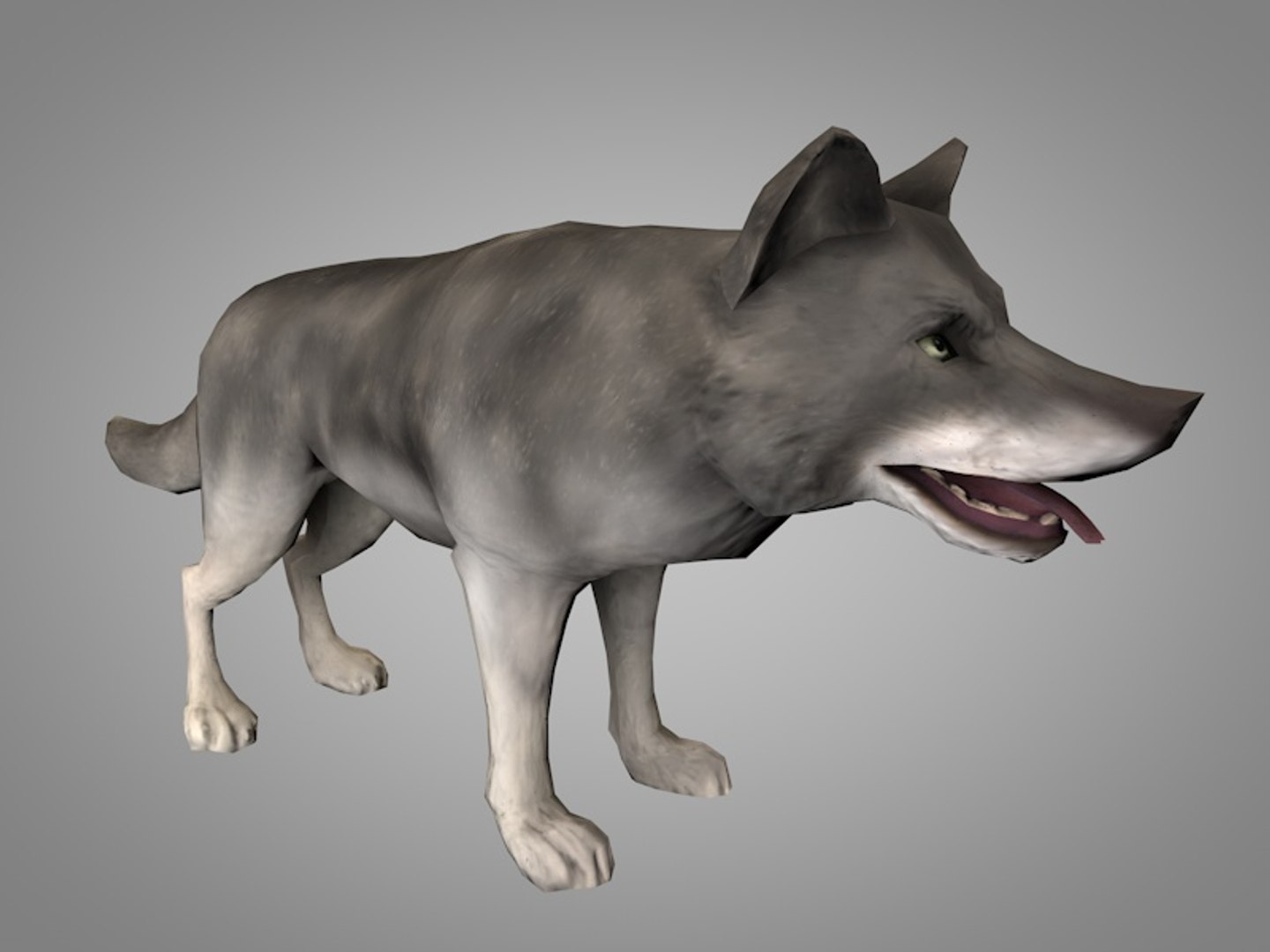 3D Model Wolf - TurboSquid 1208689