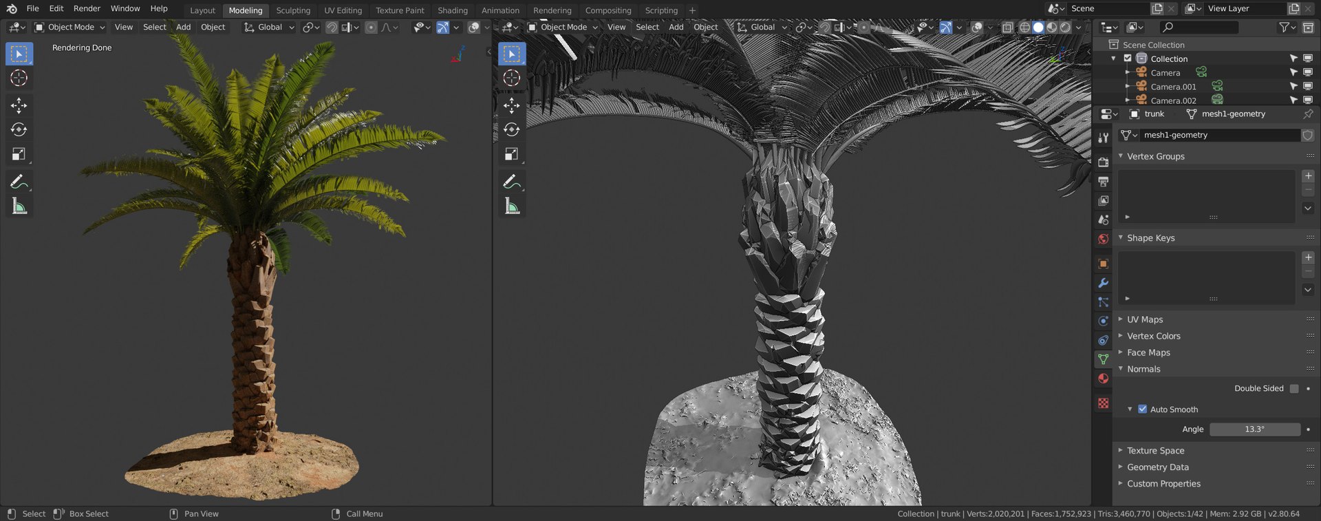3D Palm Tree Model - TurboSquid 1550662