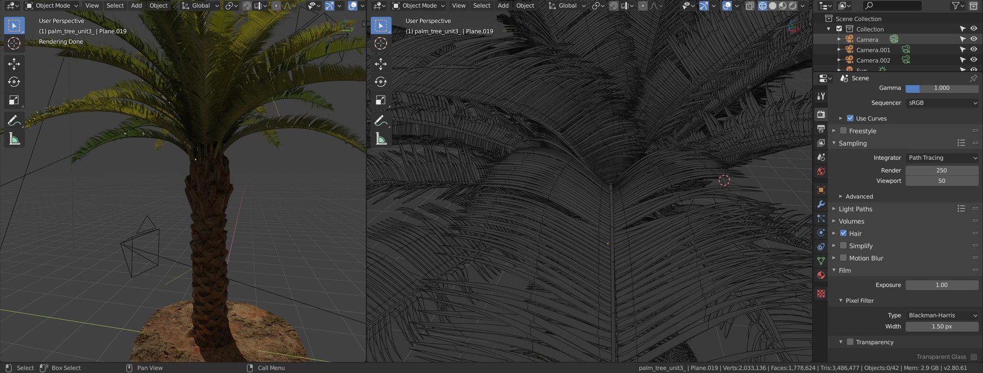 3D Palm Tree Model - TurboSquid 1550662