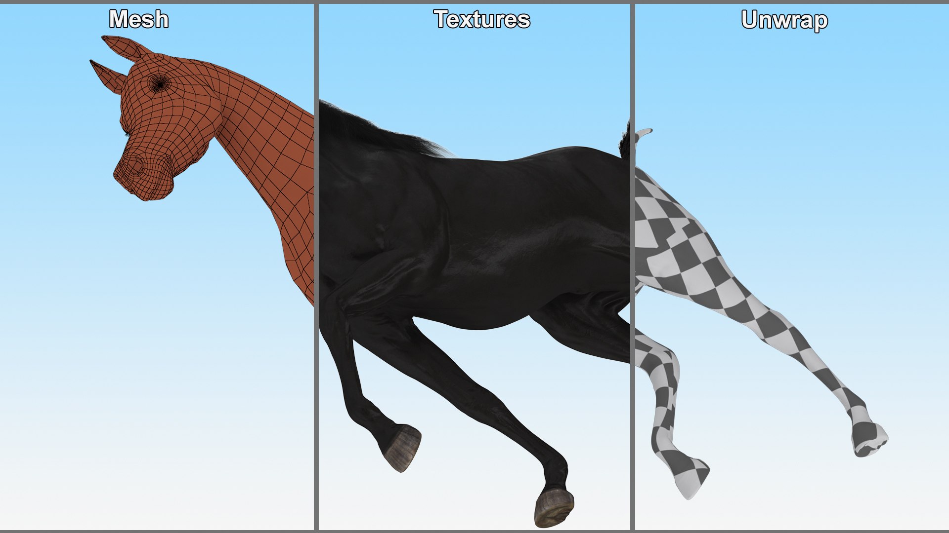 Walking Arabian Horse Black Fur 3D Model - TurboSquid 2180384