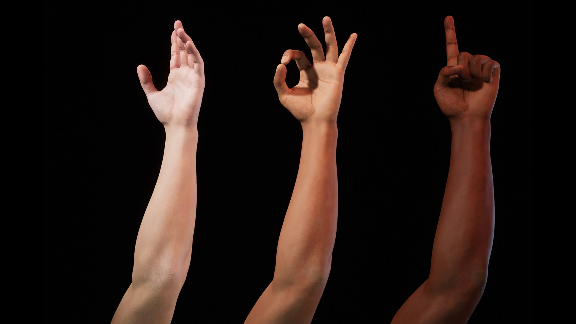 Male Hand Arms Pack 2 - Human Anatomy Model - TurboSquid 2209559