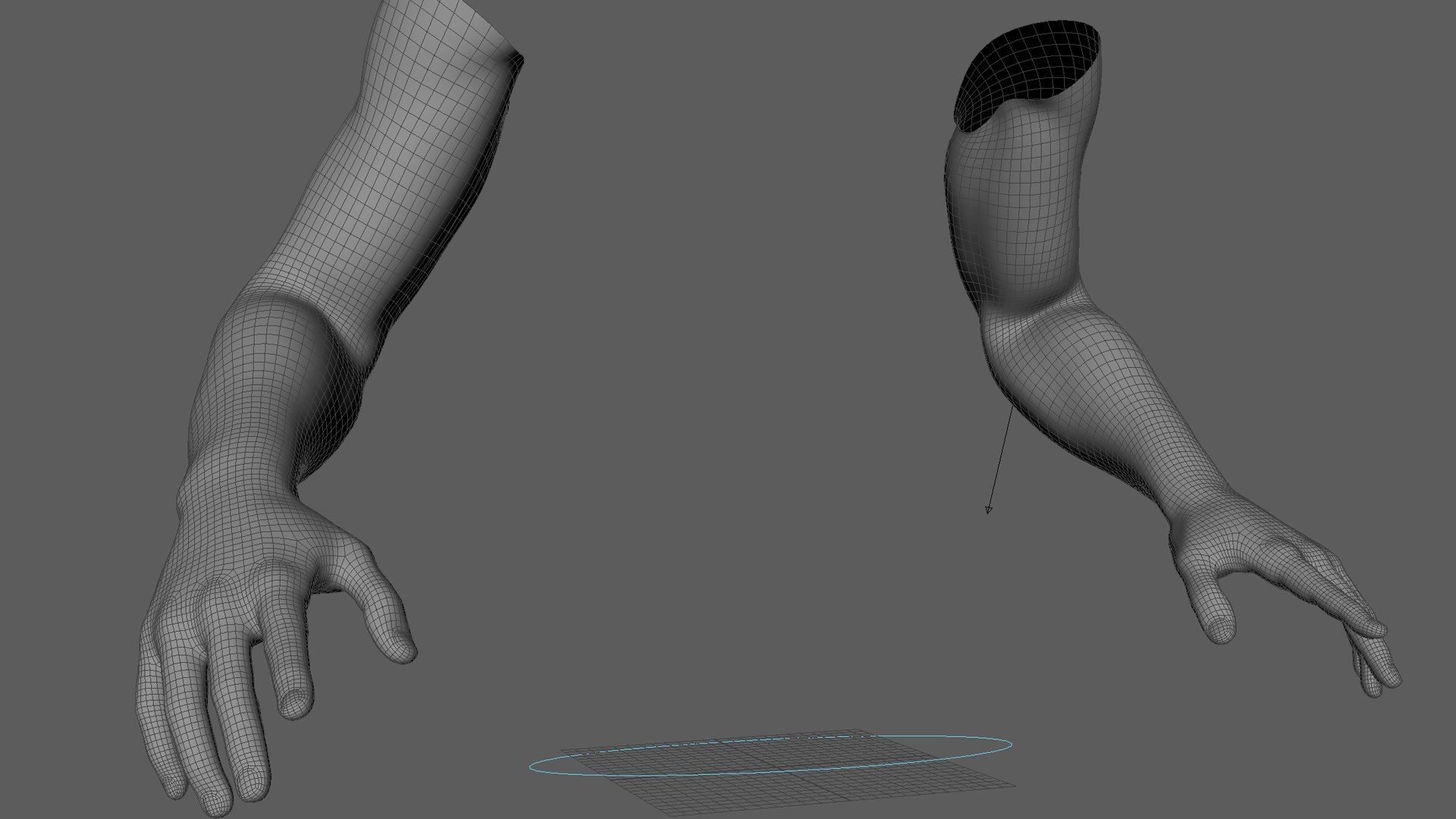 Male Hand Arms Pack 2 - Human Anatomy Model - TurboSquid 2209559