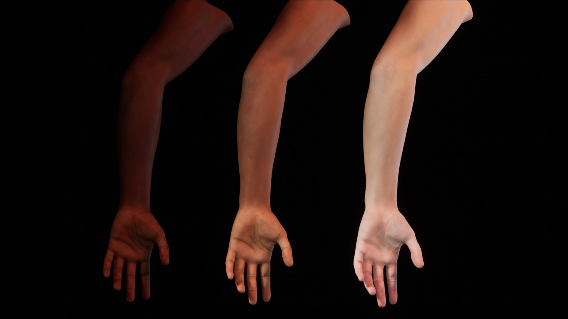Male Hand Arms Pack 2 - Human Anatomy Model - TurboSquid 2209559