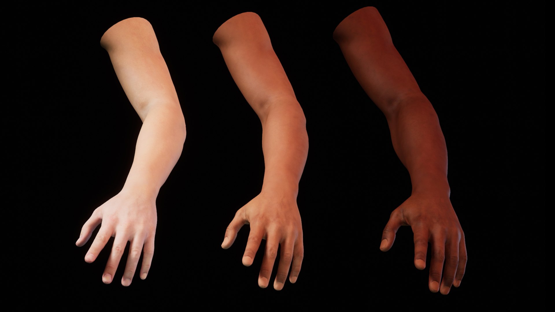 Male Hand Arms Pack 2 - Human Anatomy Model - TurboSquid 2209559