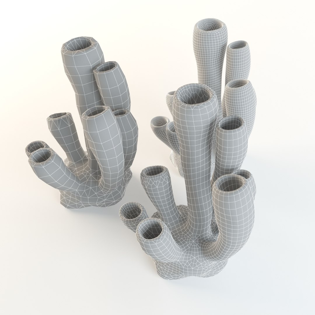 3d Model Yellow Coral