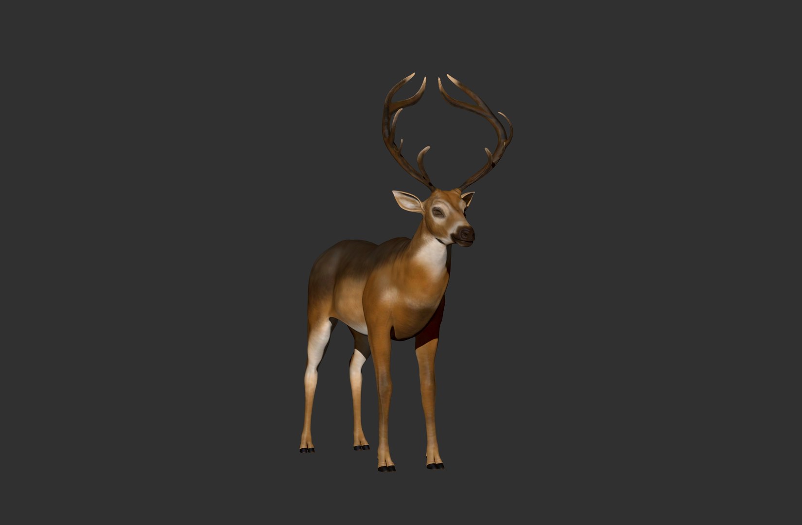 Deer 3D Model - TurboSquid 1937958
