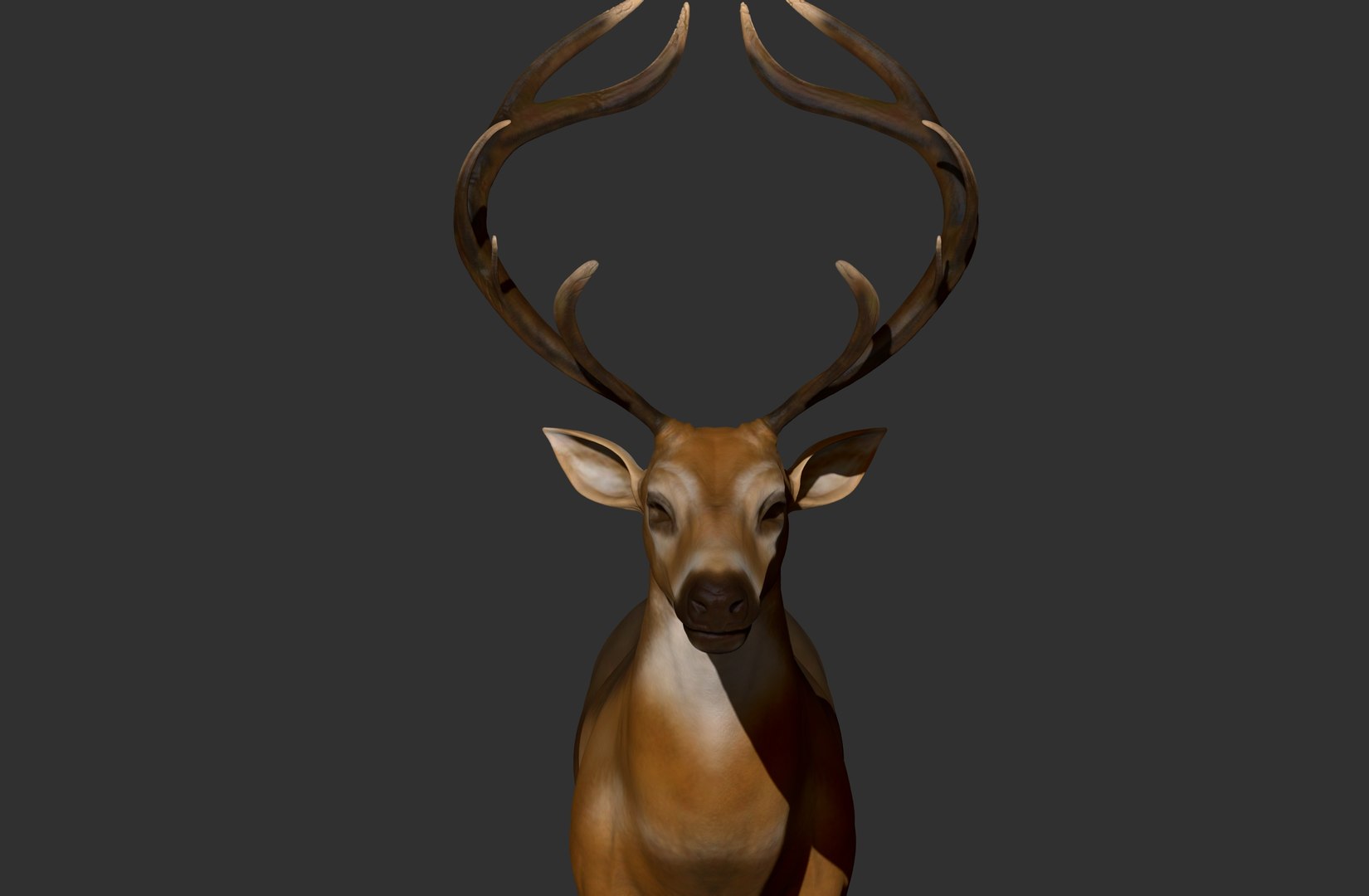 Deer 3D Model - TurboSquid 1937958