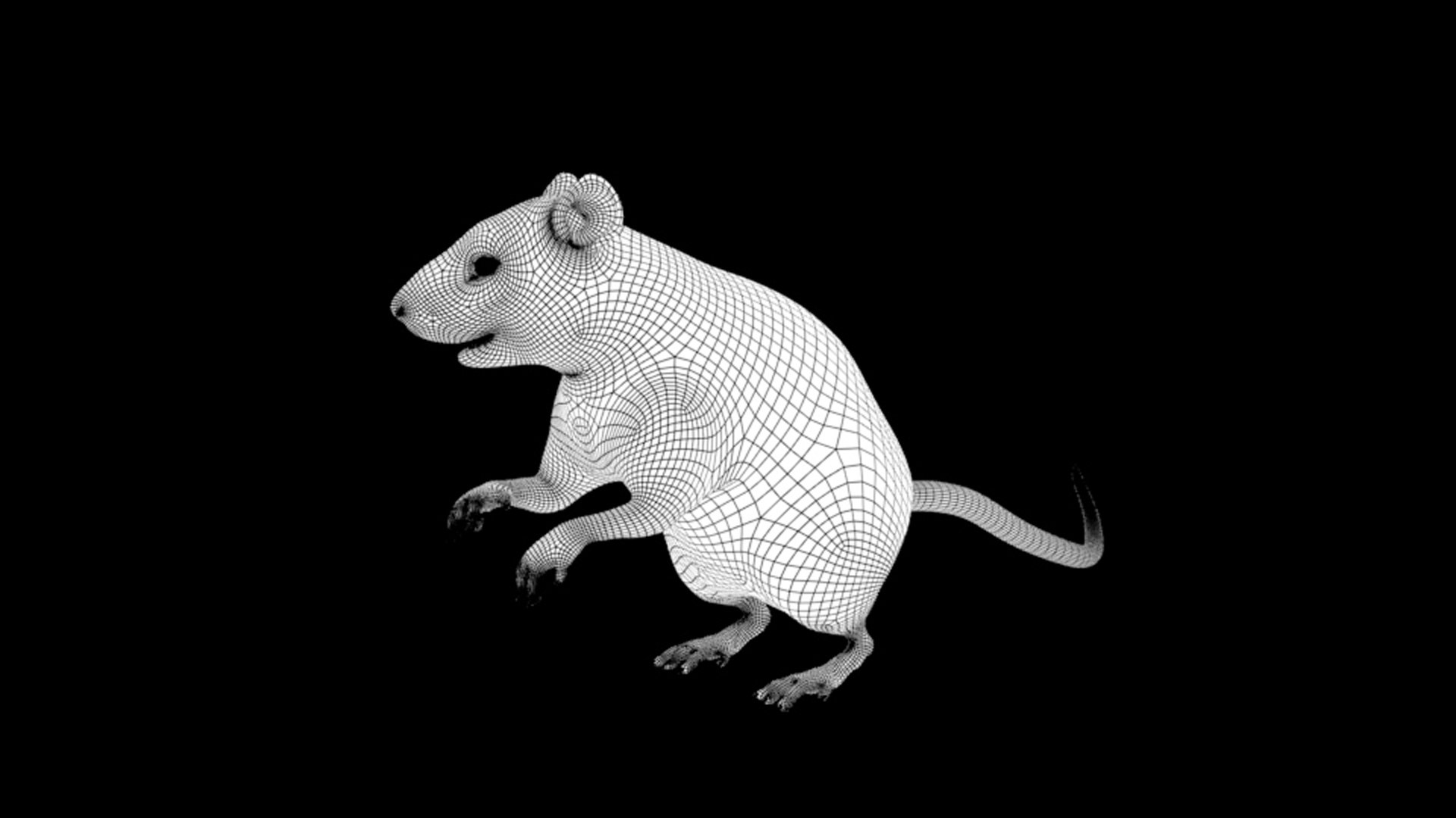 Rigged Mouse Animators Model - TurboSquid 1536806
