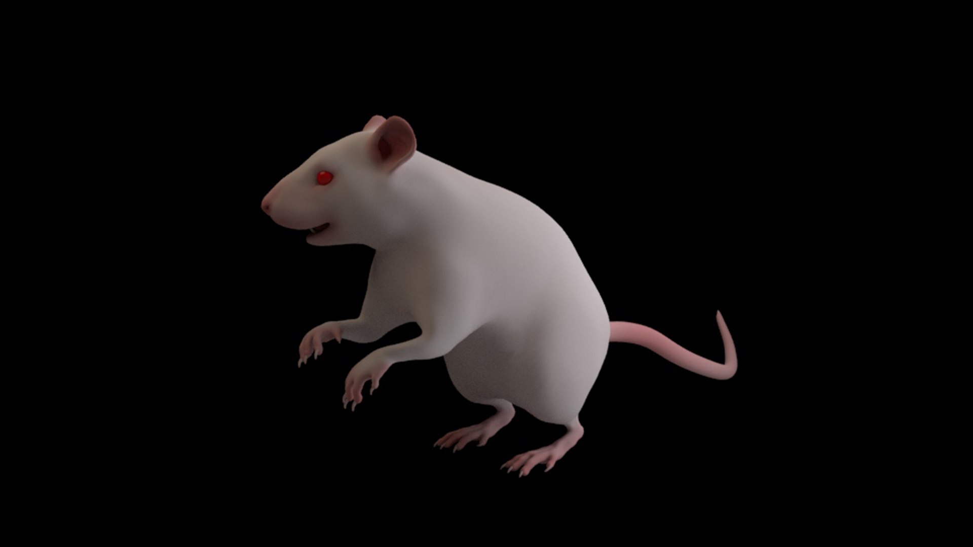 Rigged Mouse Animators Model - TurboSquid 1536806