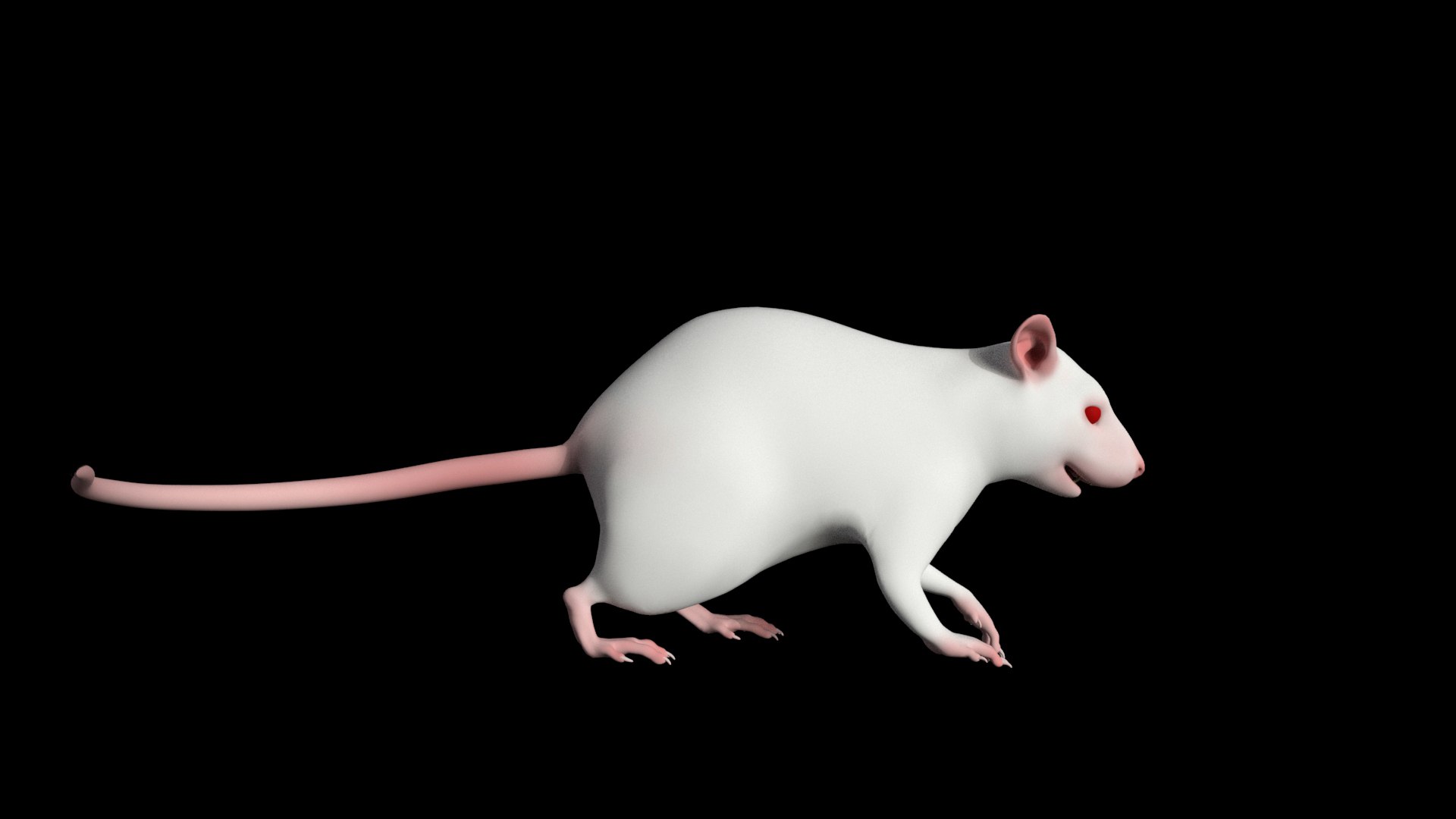 Rigged Mouse Animators Model - TurboSquid 1536806