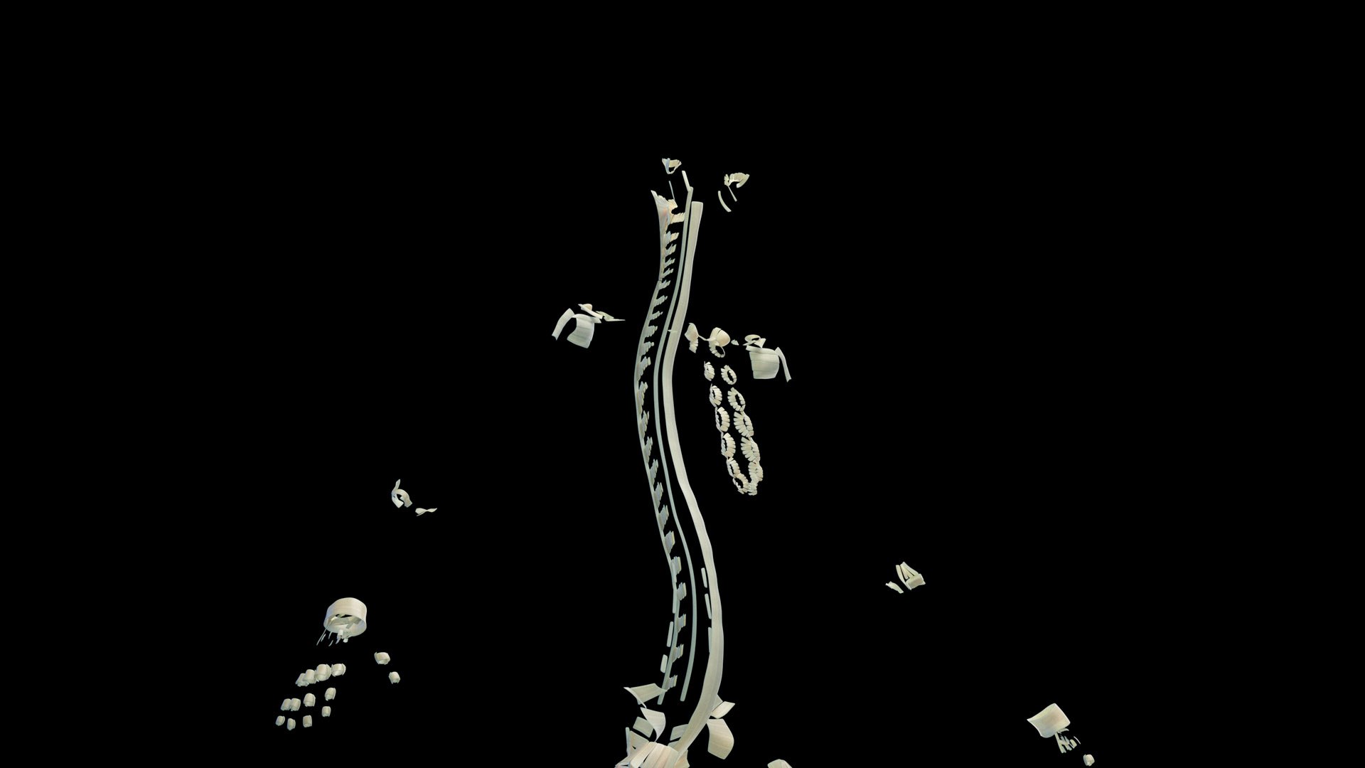 Human Female Ligaments Static model - TurboSquid 2059540