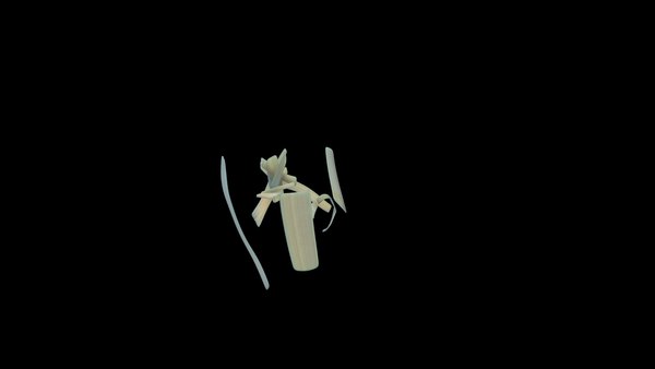 Human Female Ligaments Static 3D 모델 - TurboSquid 2059540