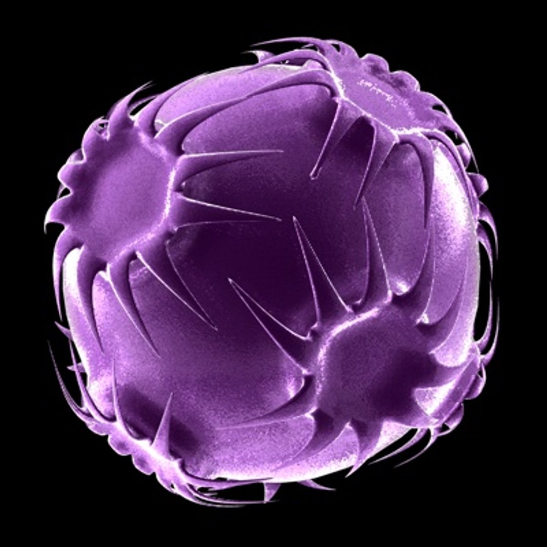 chromist science 3d model