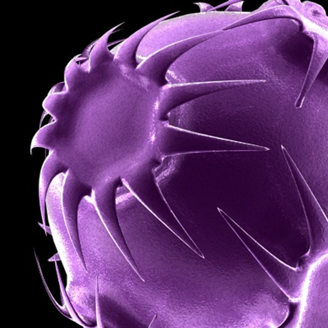 chromist science 3d model