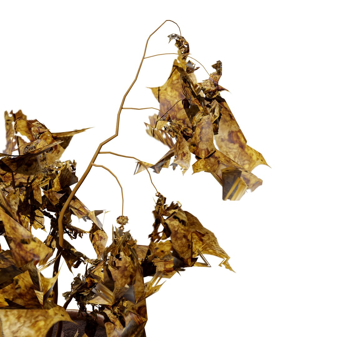 3D Model Dead Plant Pack - TurboSquid 2318977