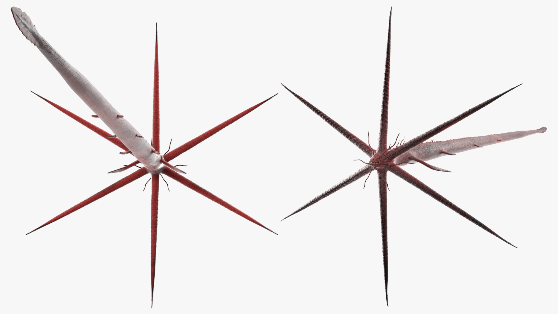 Alien Aquatic Predator With Elongated Limbs Red Rigged For Maya 3D ...