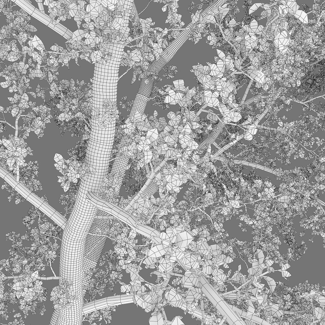 3D cherry tree - TurboSquid 1689089