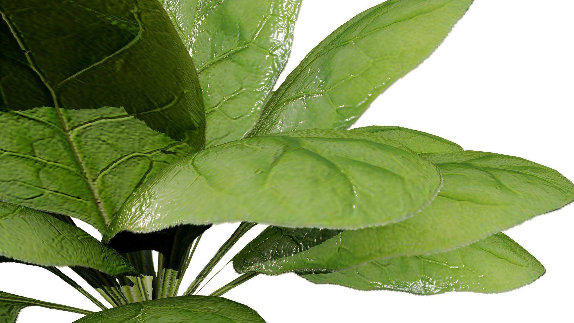 3D Green Plant Collection - TurboSquid 2426900