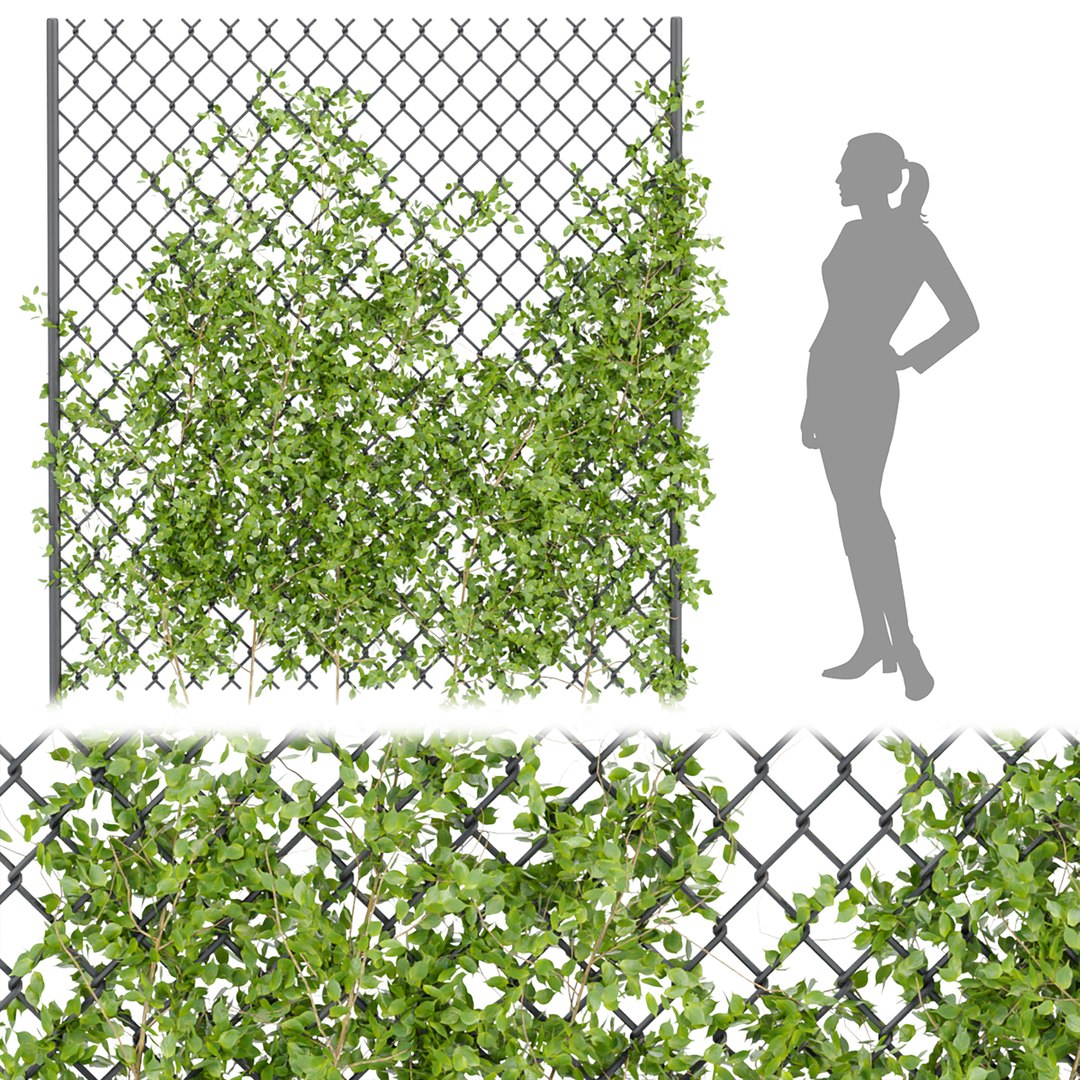 Outdoor Ivy Fence Collection Vol 68 Model - TurboSquid 1959962