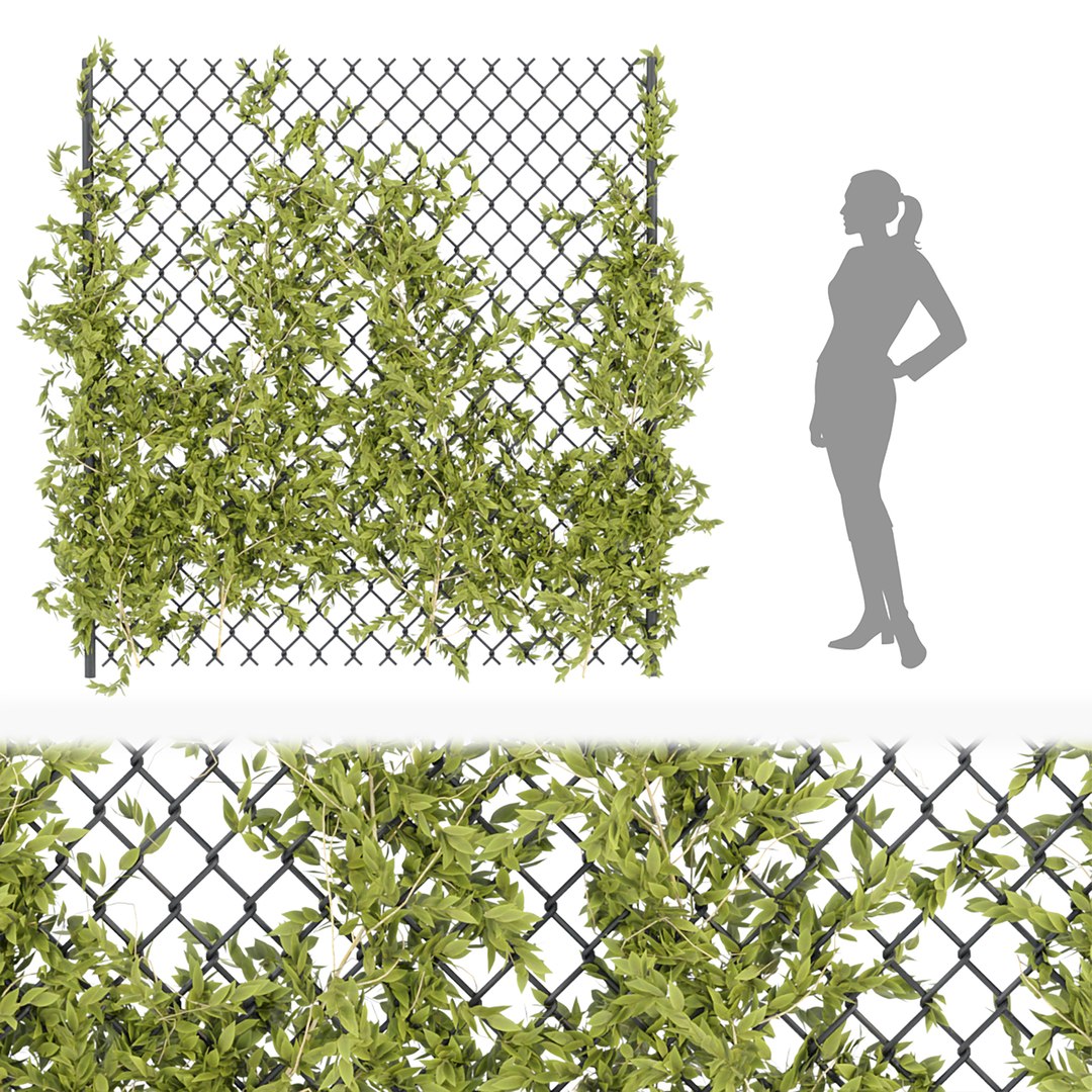 Outdoor Ivy Fence Collection Vol 68 Model - TurboSquid 1959962