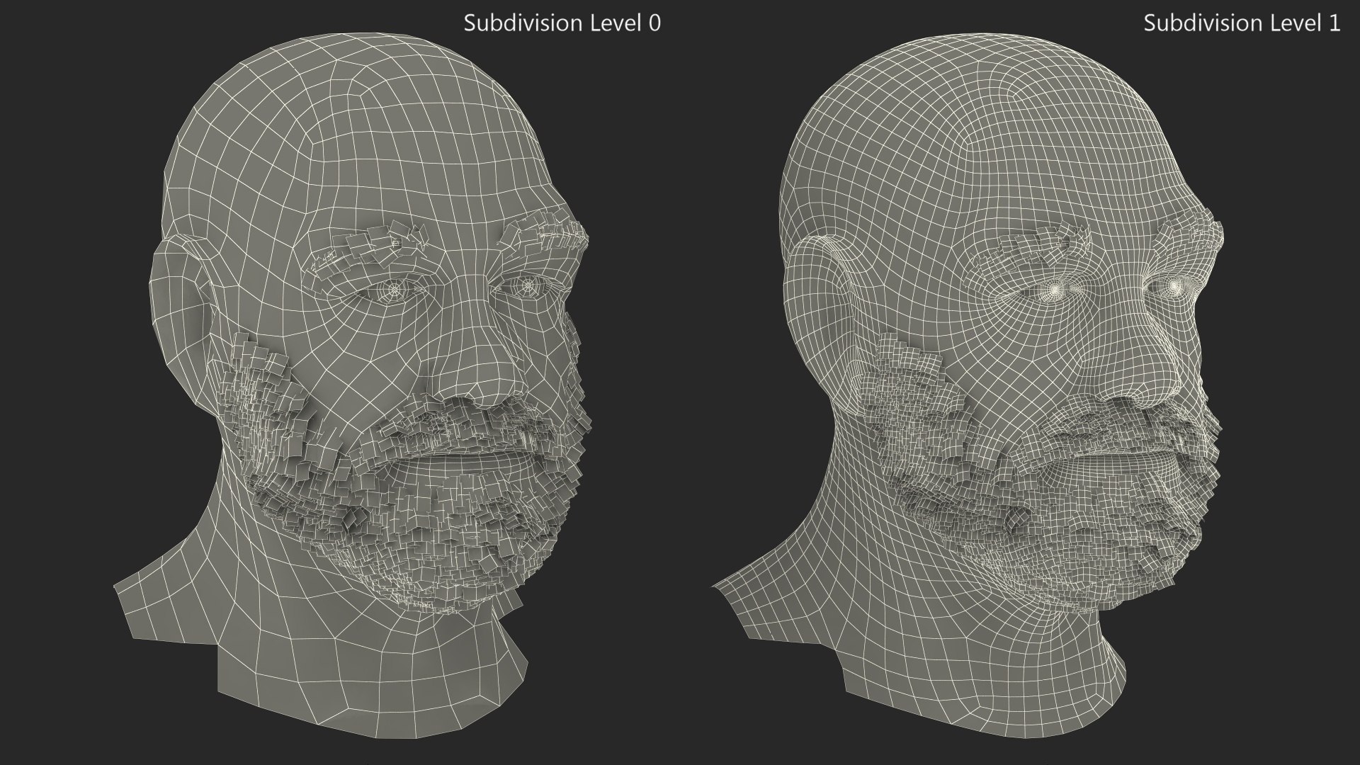 3D Homeless Old Man Head Model - TurboSquid 2283332