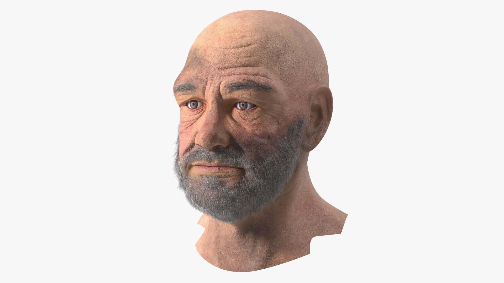 3D Homeless Old Man Head Model - TurboSquid 2283332