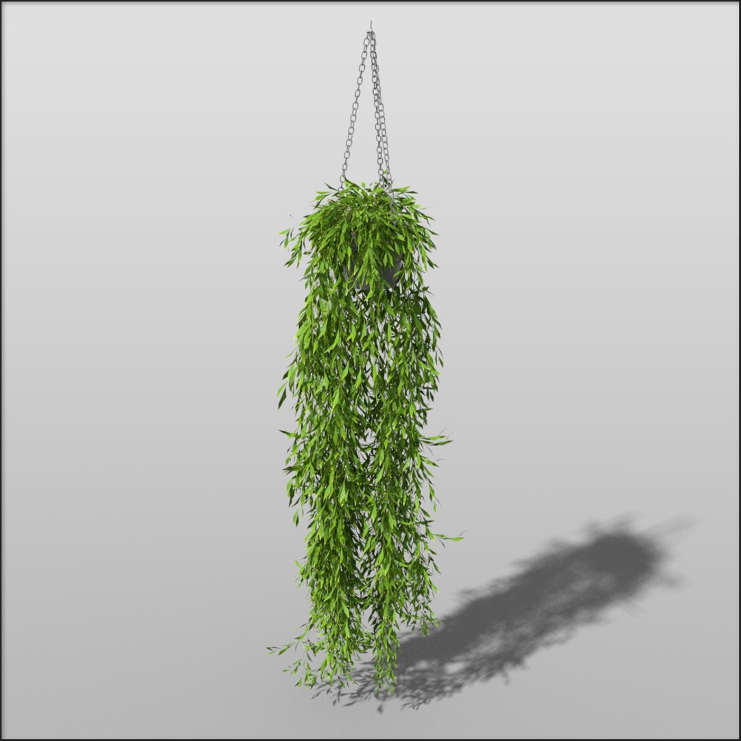 C4d Hanging Bamboo