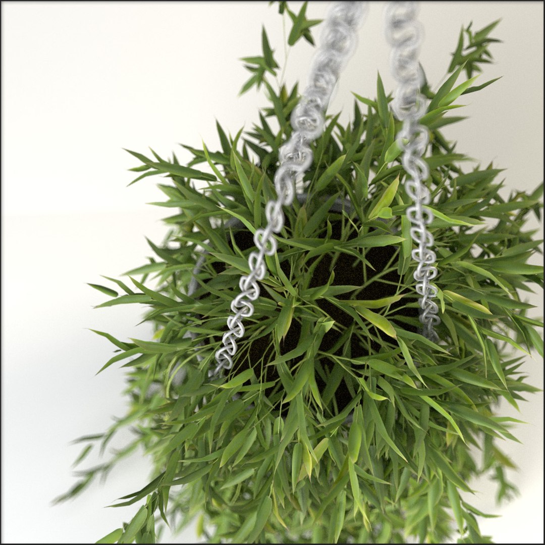 C4d Hanging Bamboo