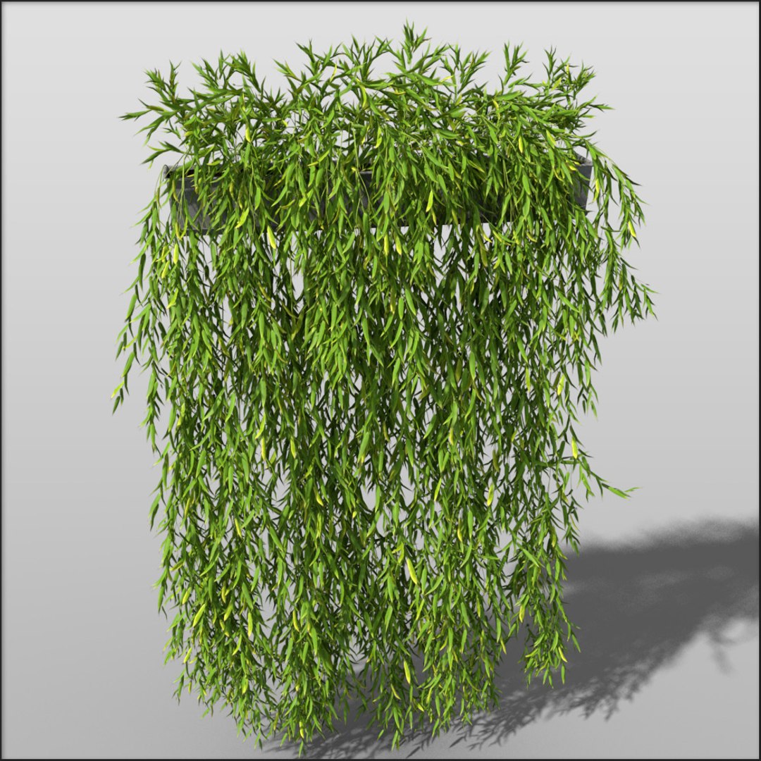 C4d Hanging Bamboo
