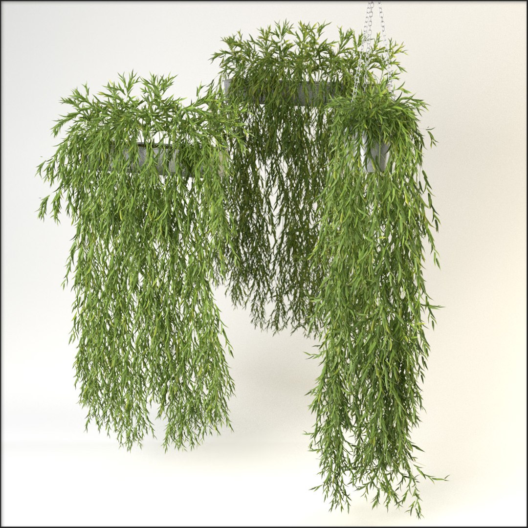 C4d Hanging Bamboo