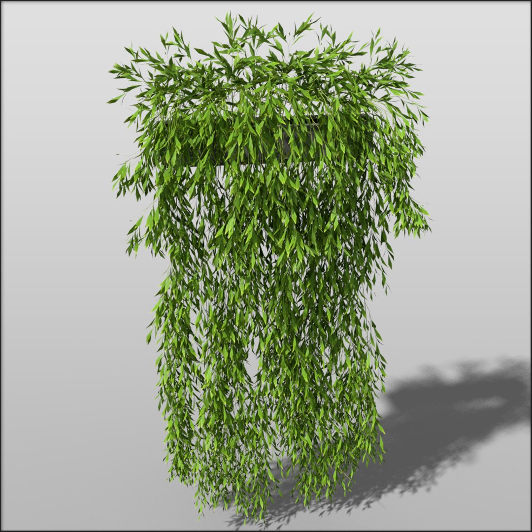 C4d Hanging Bamboo