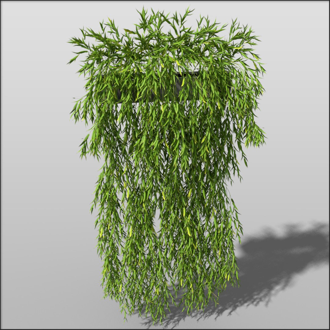 C4d Hanging Bamboo
