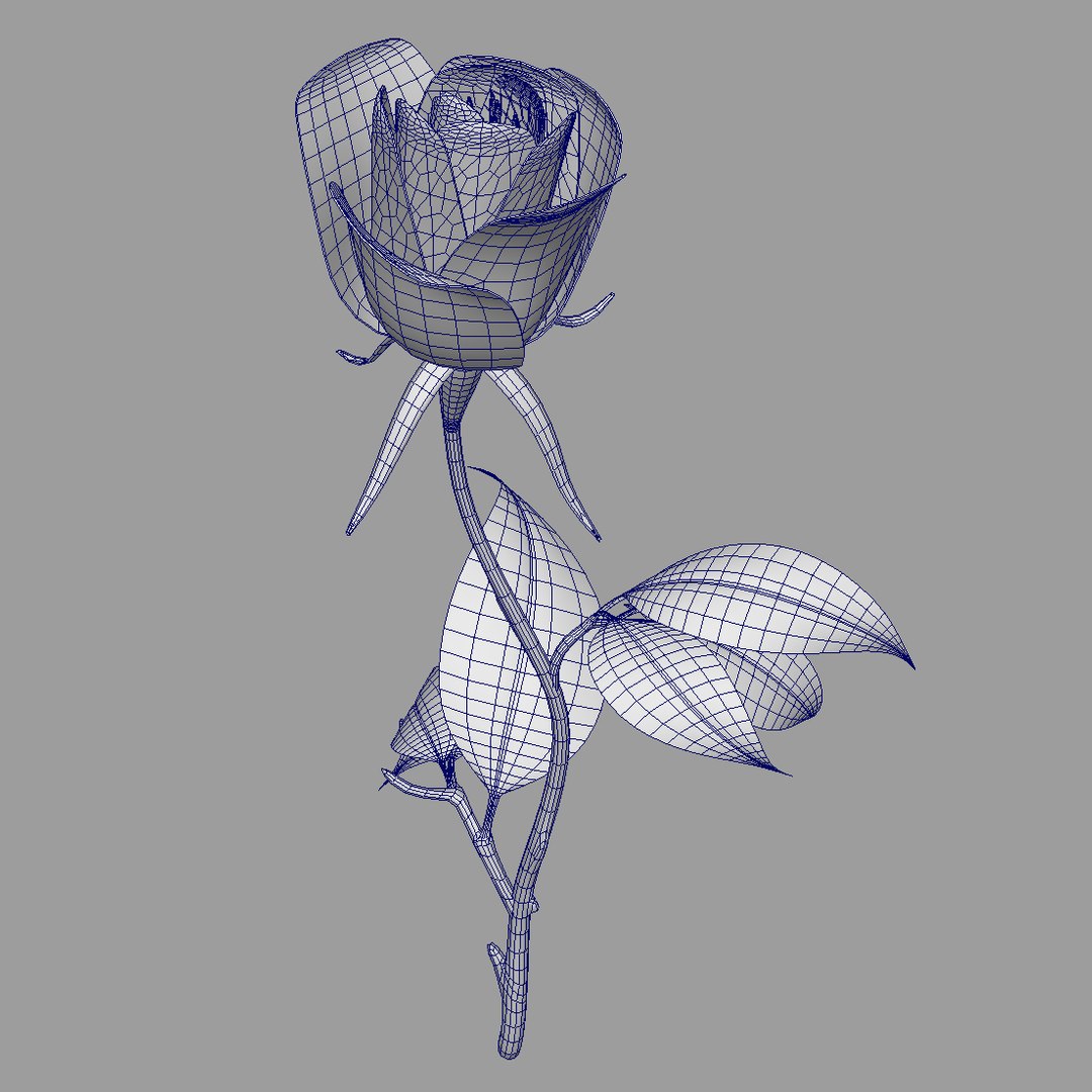 3d model of pink rose