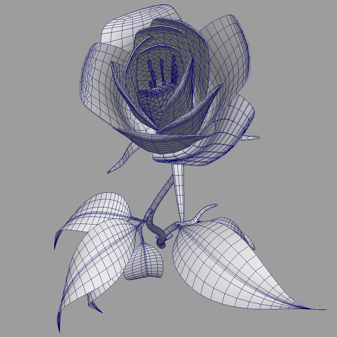 3d model of pink rose