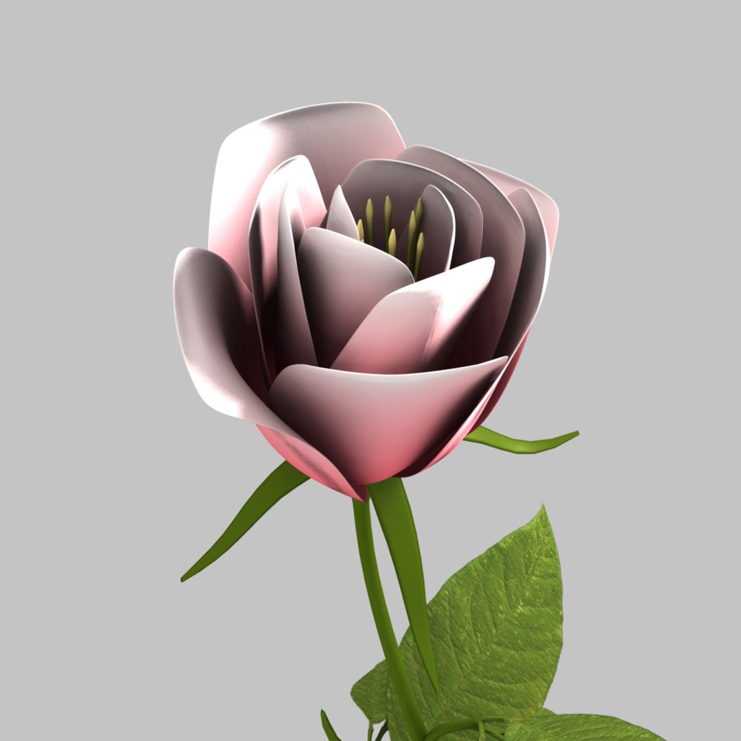 3d model of pink rose