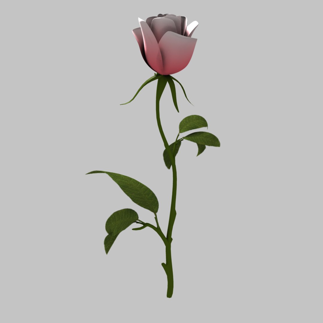 3d model of pink rose