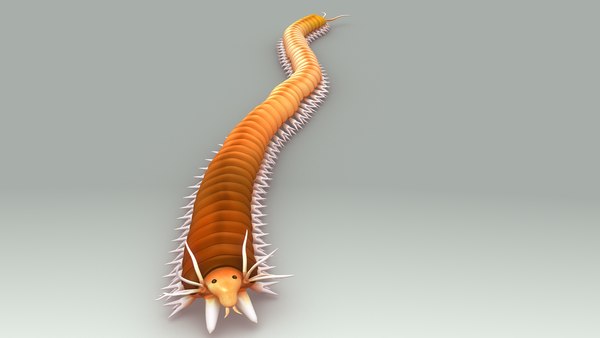3D Parasite Models | TurboSquid
