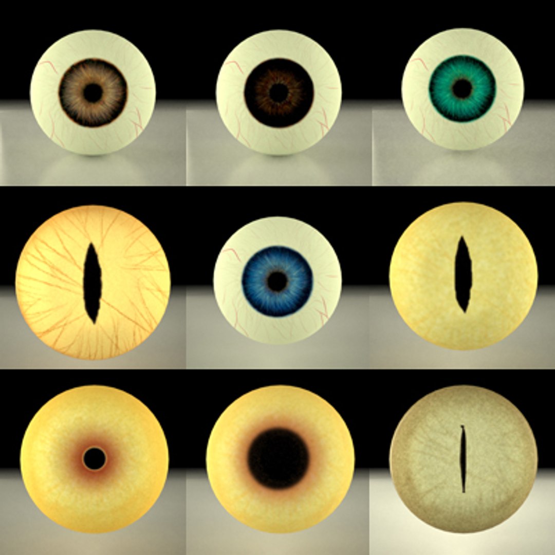 Maya 9 Eyes