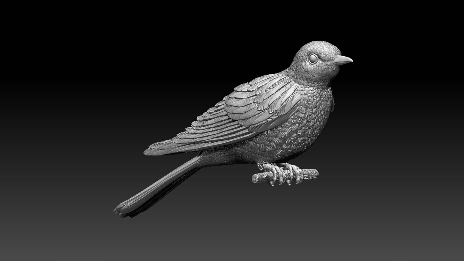 3D Model Cuckoo - TurboSquid 1775201
