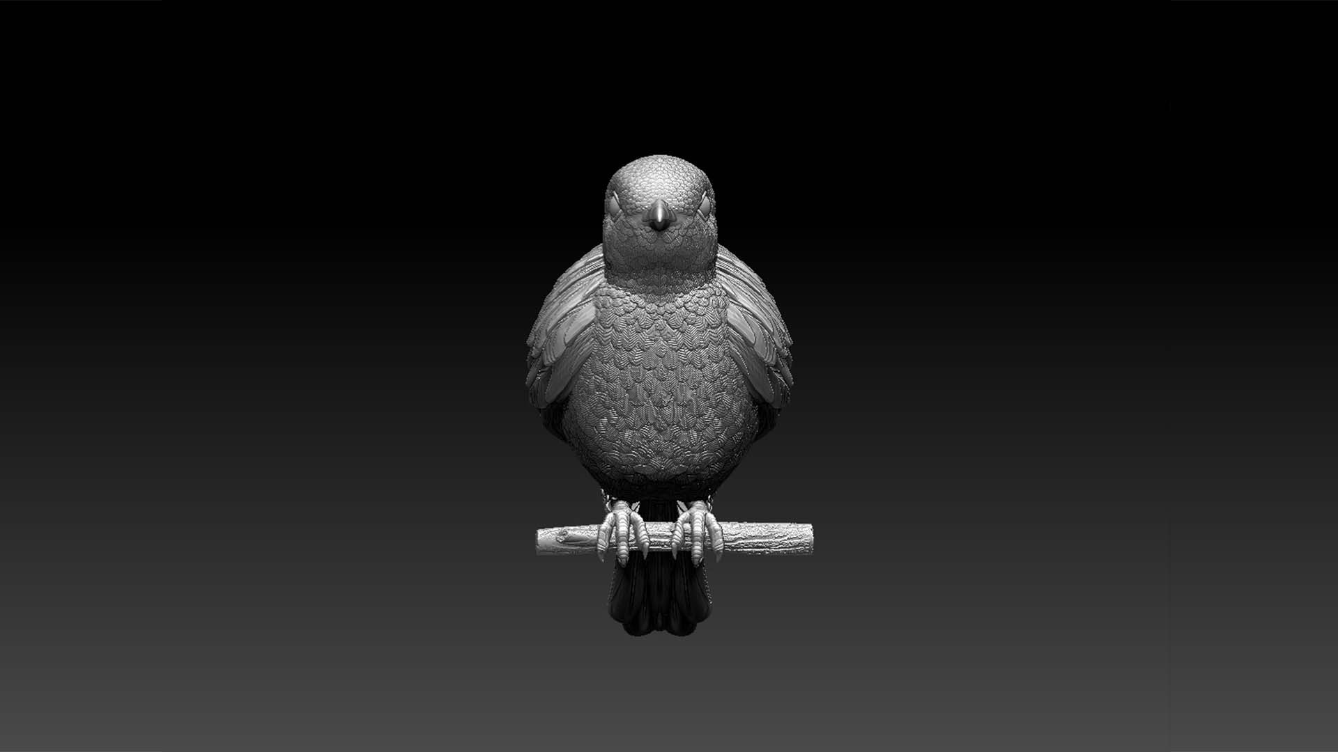 3D Model Cuckoo - TurboSquid 1775201