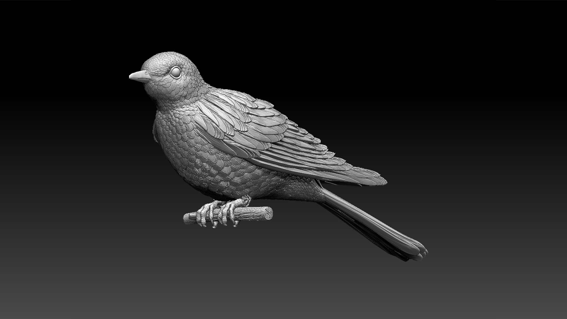 3D Model Cuckoo - TurboSquid 1775201