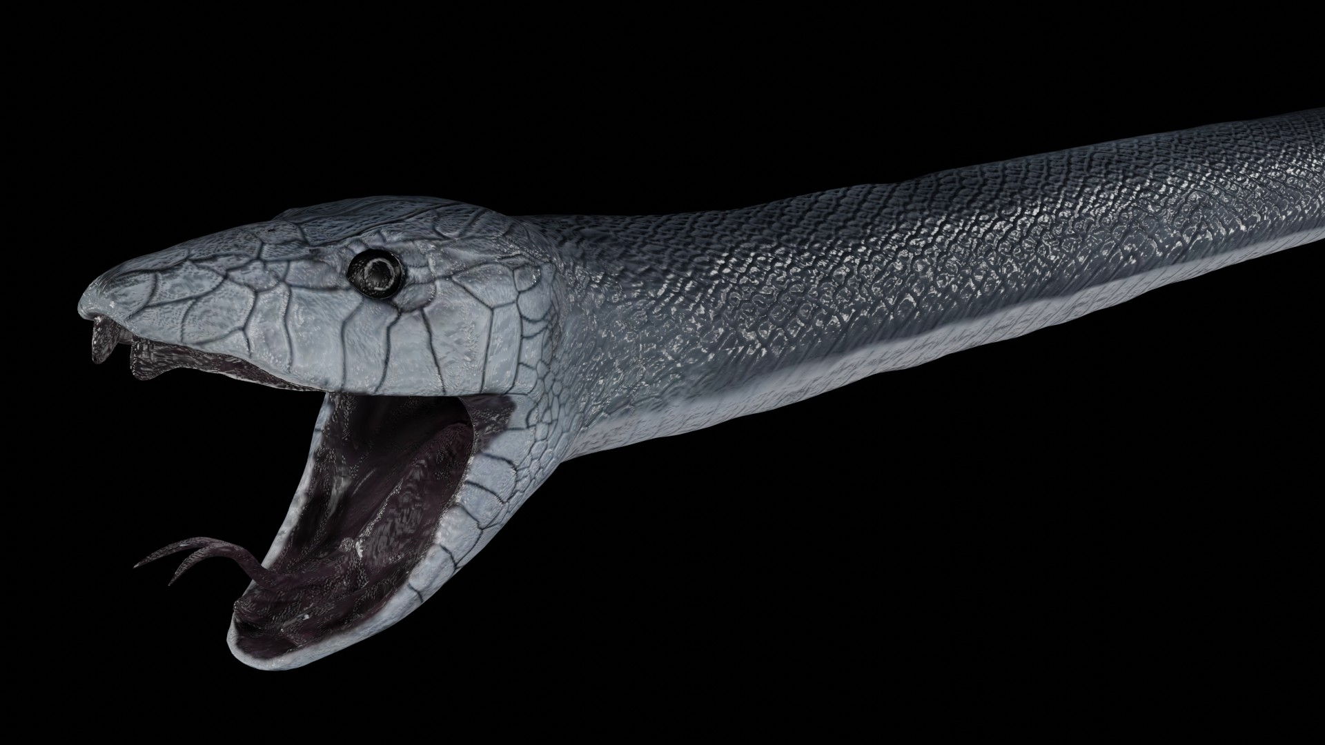 Black mamba snake 3D model - TurboSquid 1672846