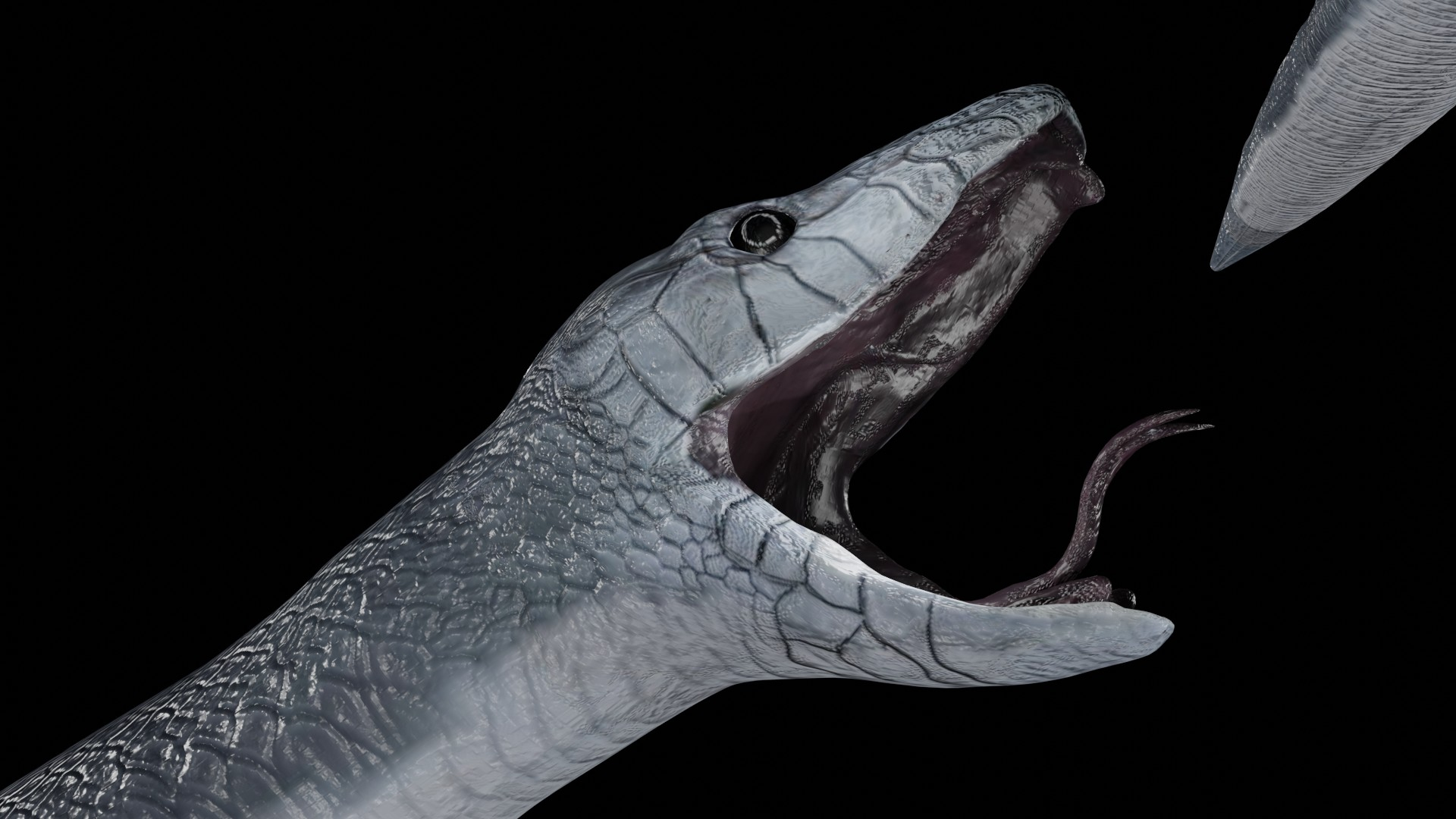 Black mamba snake 3D model - TurboSquid 1672846