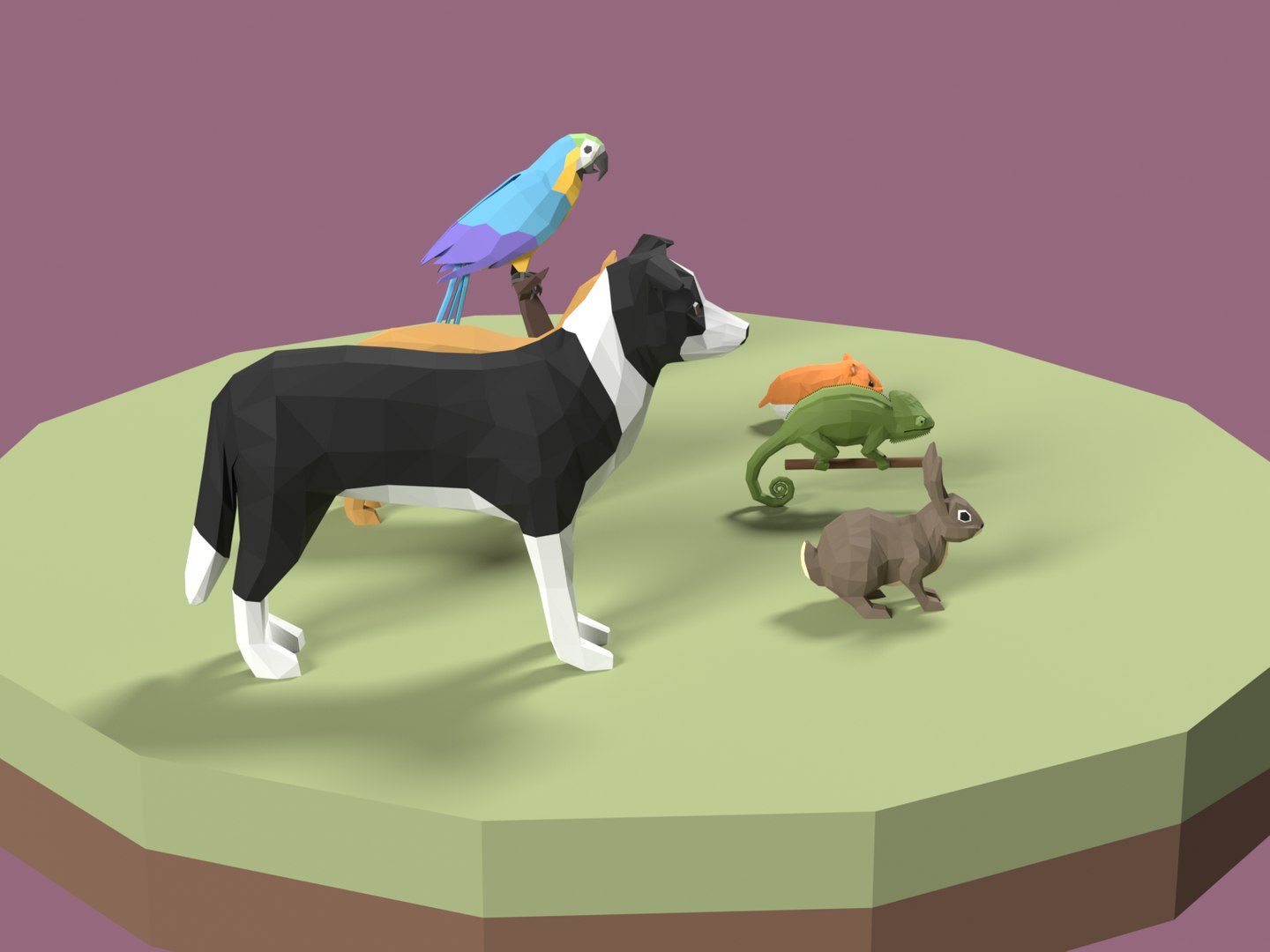 3D Lowpoly Stylized PET Animals Pack Model - TurboSquid 2189261