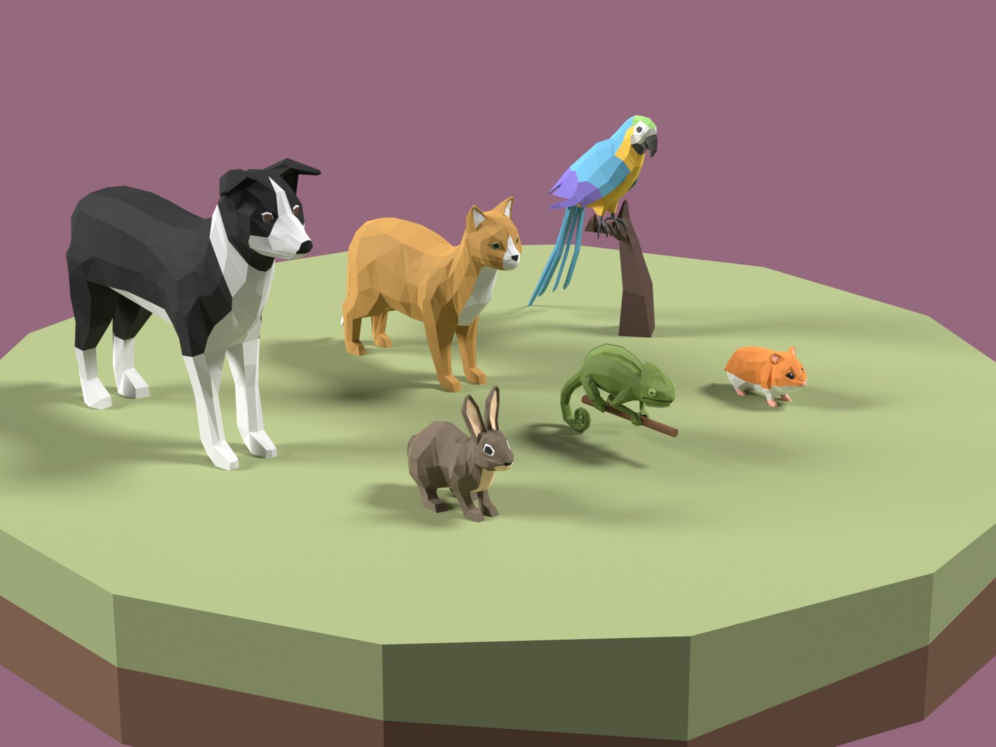 3D Lowpoly Stylized PET Animals Pack Model - TurboSquid 2189261