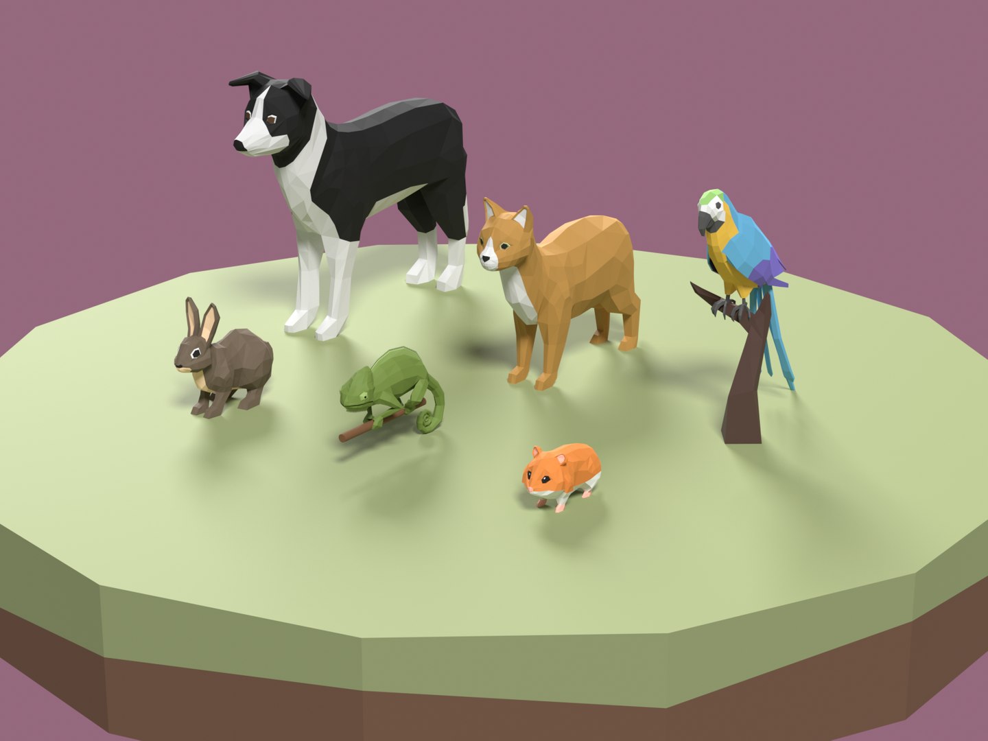3D Lowpoly Stylized PET Animals Pack Model - TurboSquid 2189261