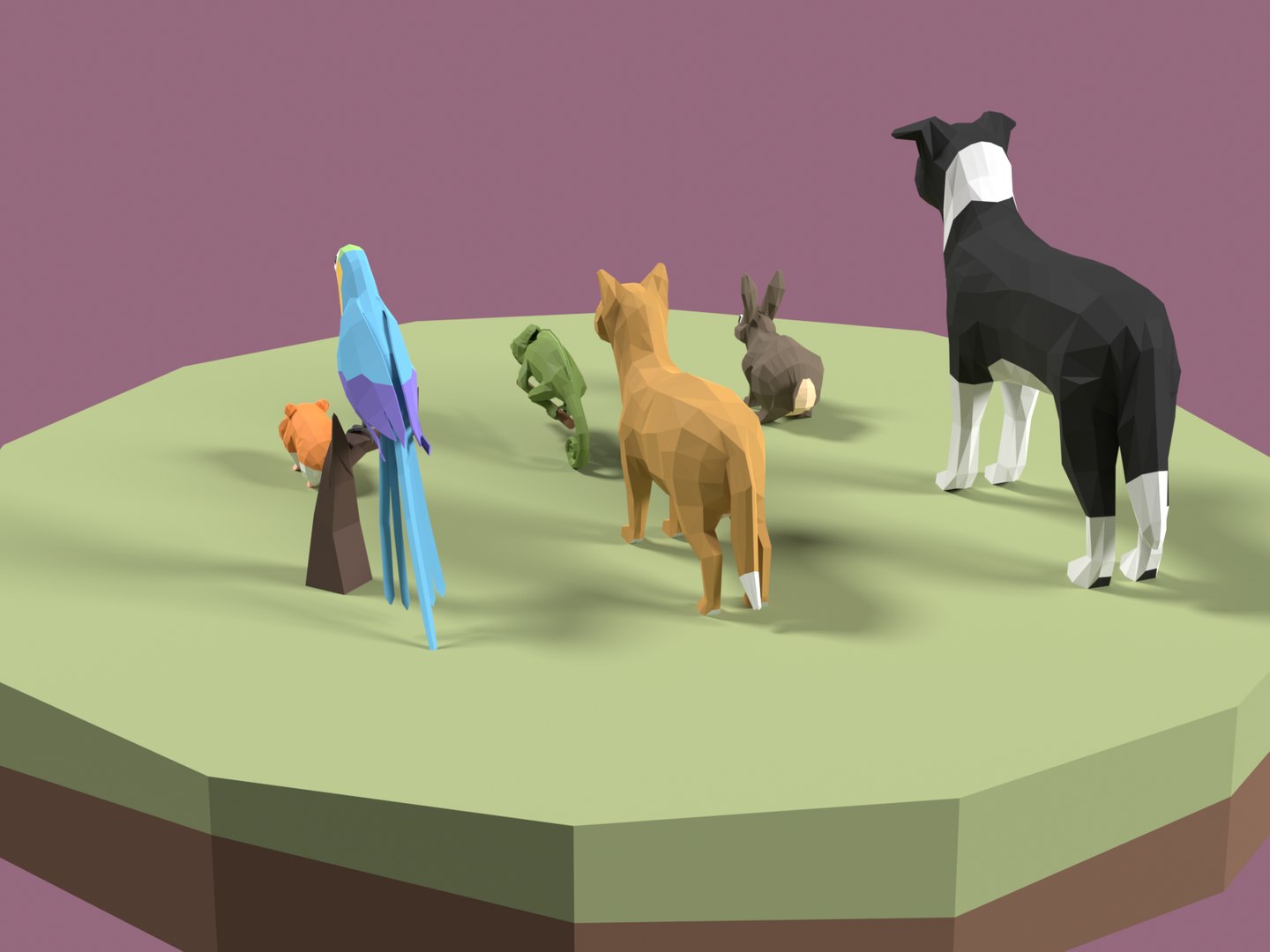 3D Lowpoly Stylized PET Animals Pack Model - TurboSquid 2189261